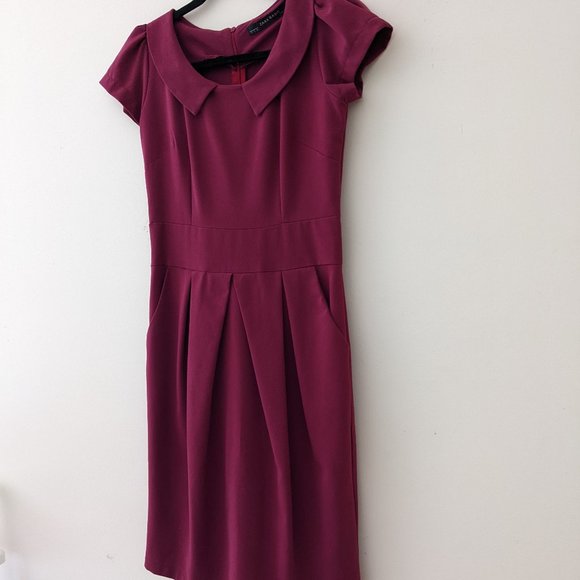 Zara | Dresses | Zara Garnet Pan Collar Dress With Pockets | Poshmark